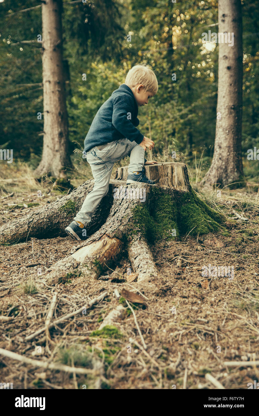 Little boy climbing on stump of spruce tree Stock Photo - Alamy