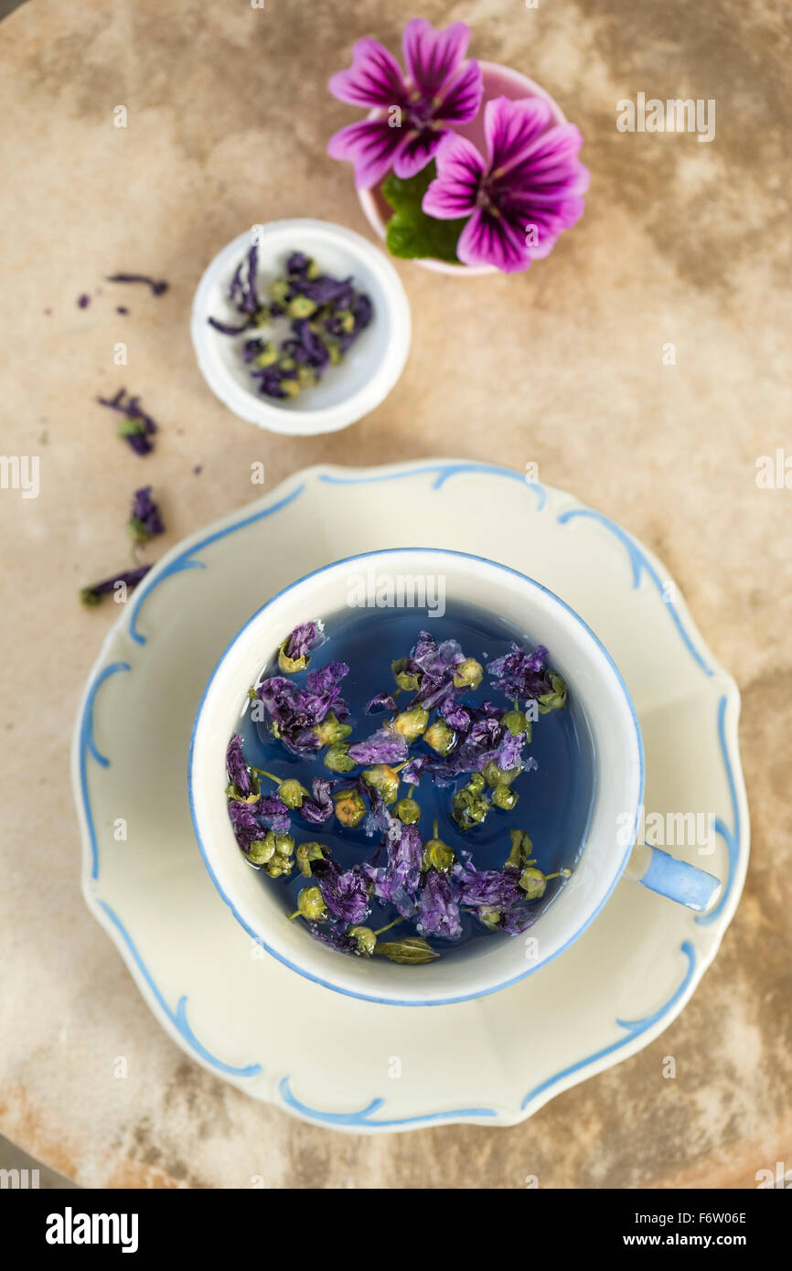 Common mallow, Malva sylvestris in tea cup Stock Photo - Alamy