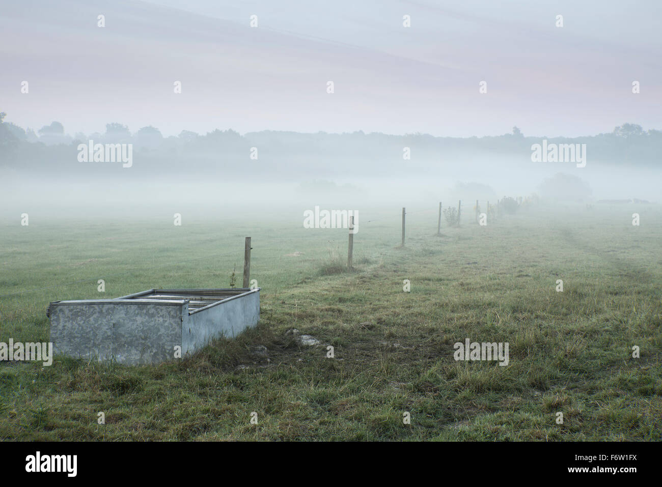 Foggy landscape in English countryside with livestock feeding trough ...