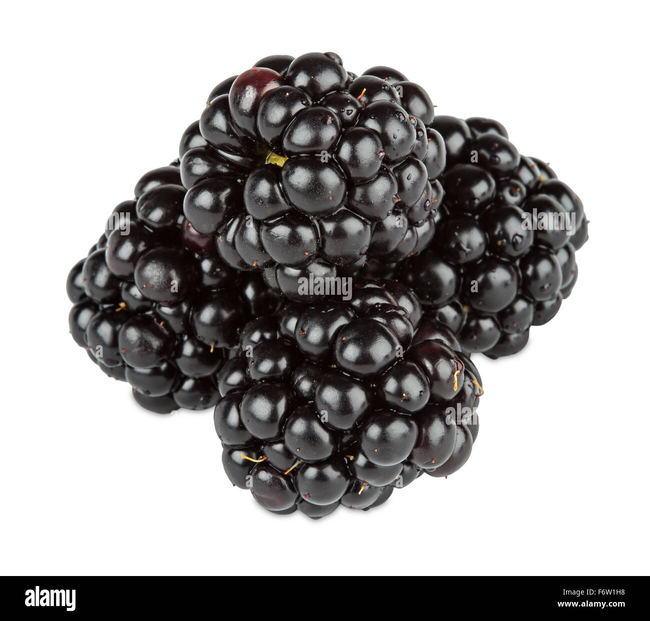 Black blackberries hi-res stock photography and images - Alamy