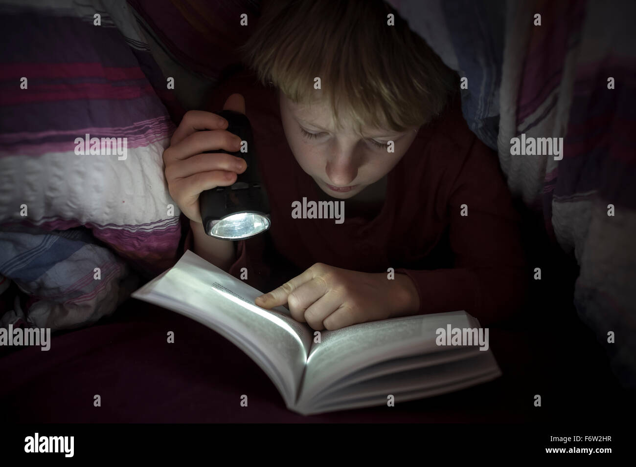 Person shining a torch hi-res stock photography and images - Alamy