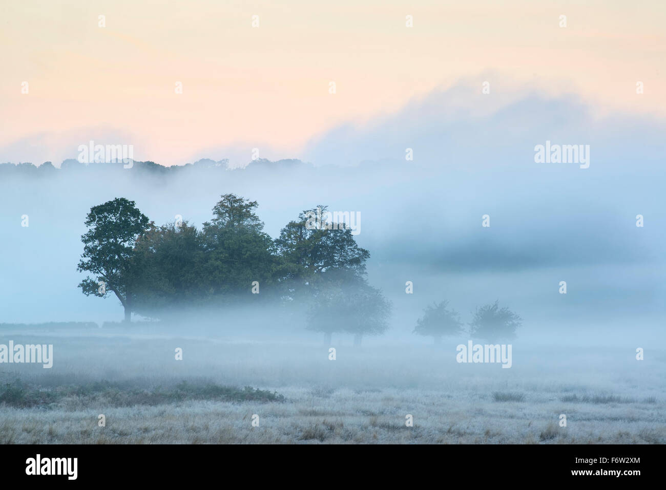 Beautiful thick fog sunrise Autumn Fall landscape over fields with ...