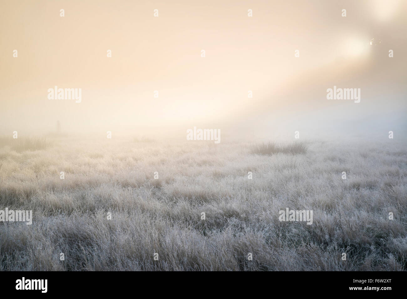 Stunning sun beams light up through thick fog of Autumn Fall frosty ...