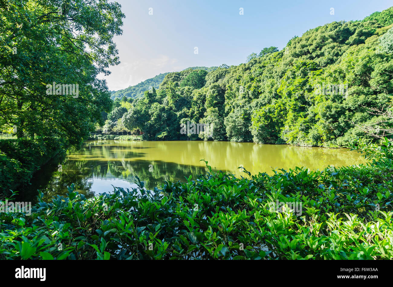 Japan, Honshu, Kyoto, Arashiyama bamboo forest and lake Stock Photo - Alamy