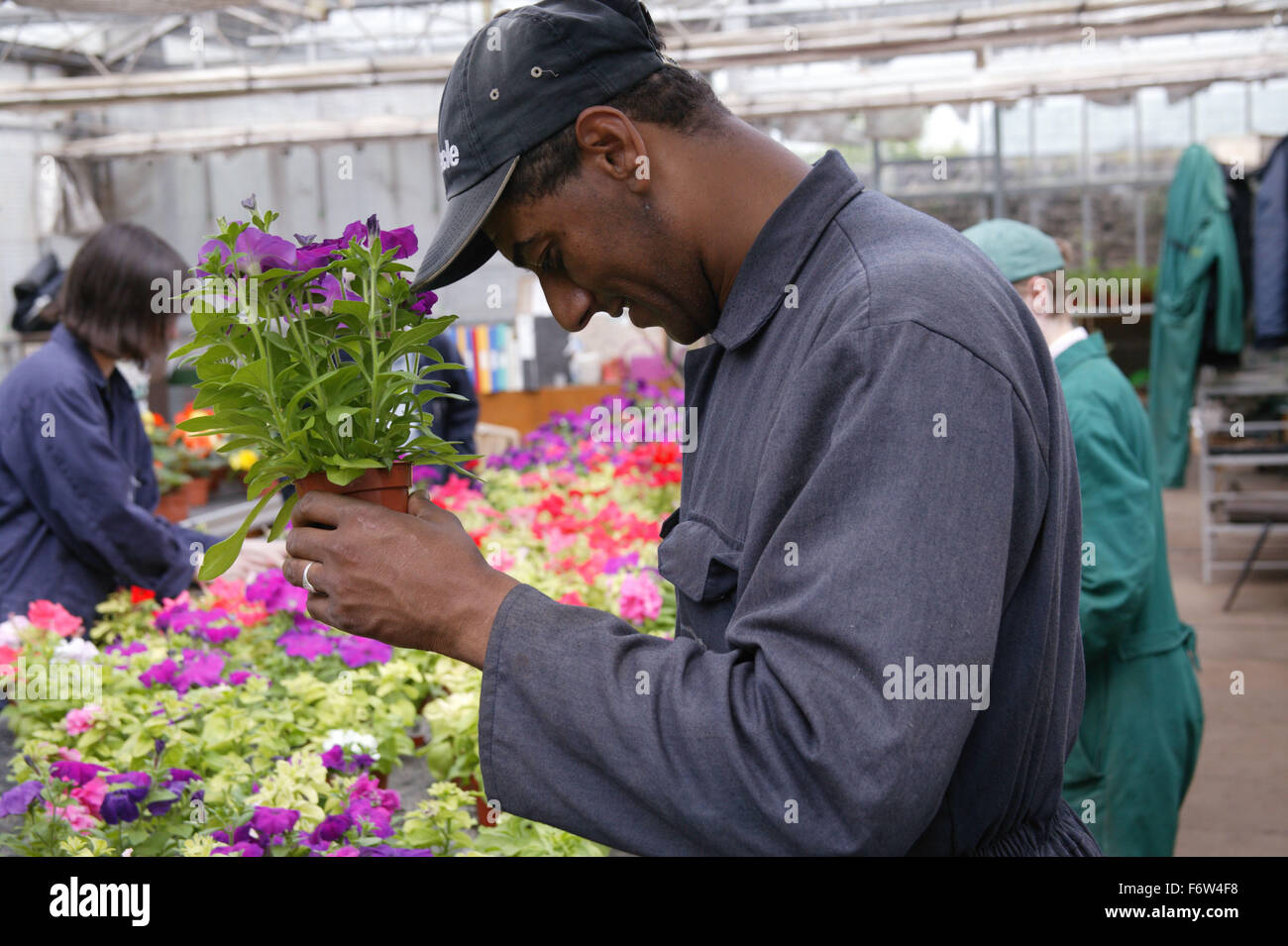 Man with learning disability at work at Brook Farm; Linby; holding ...