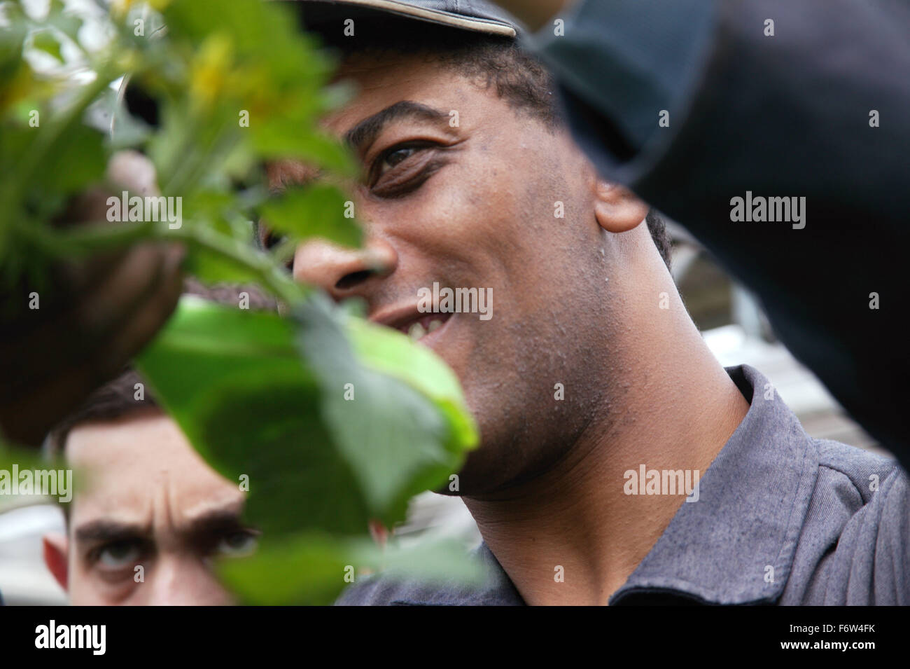 Disability inclusion in the caribbean hi-res stock photography and ...