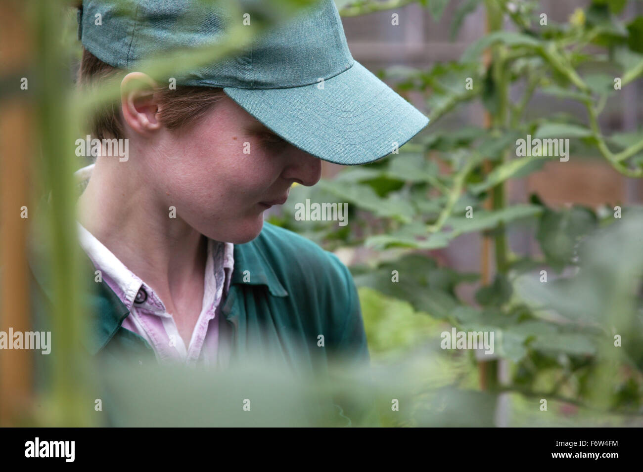 Linby hi-res stock photography and images - Alamy