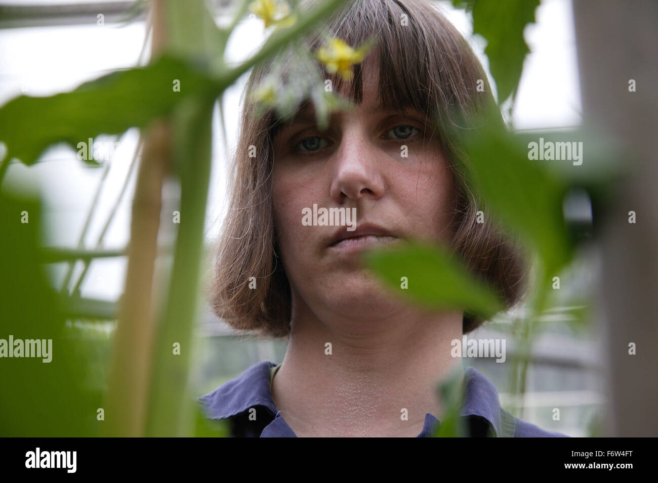 Linby hi-res stock photography and images - Alamy