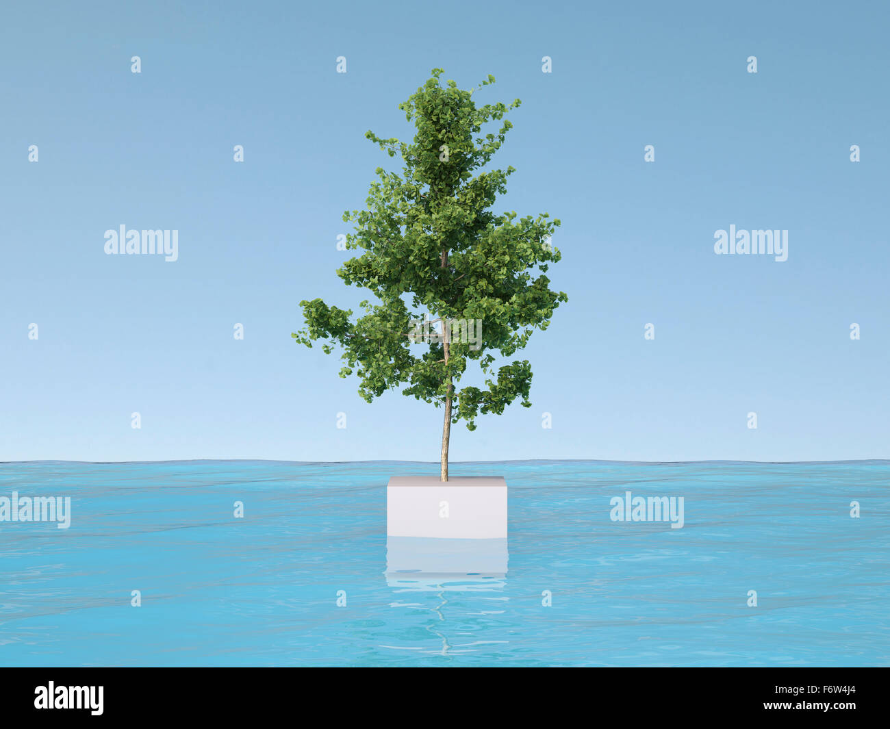 3D Rendering, tree on base in water Stock Photo - Alamy