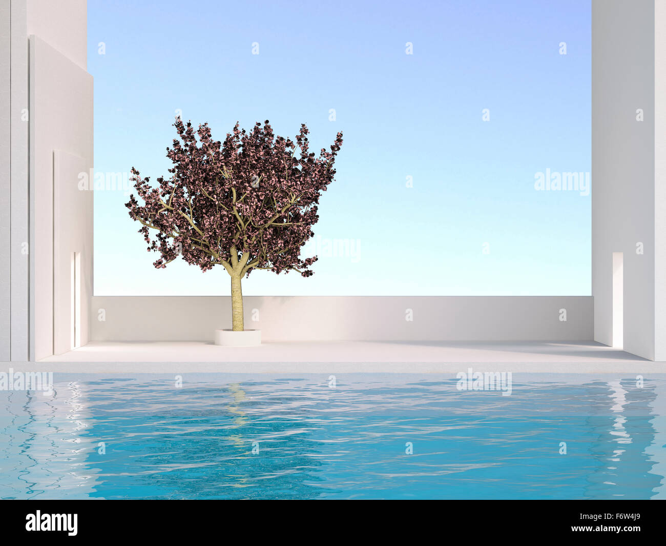 3D Rendering, Japanese cherry, outdoor area, swimming pool Stock Photo ...