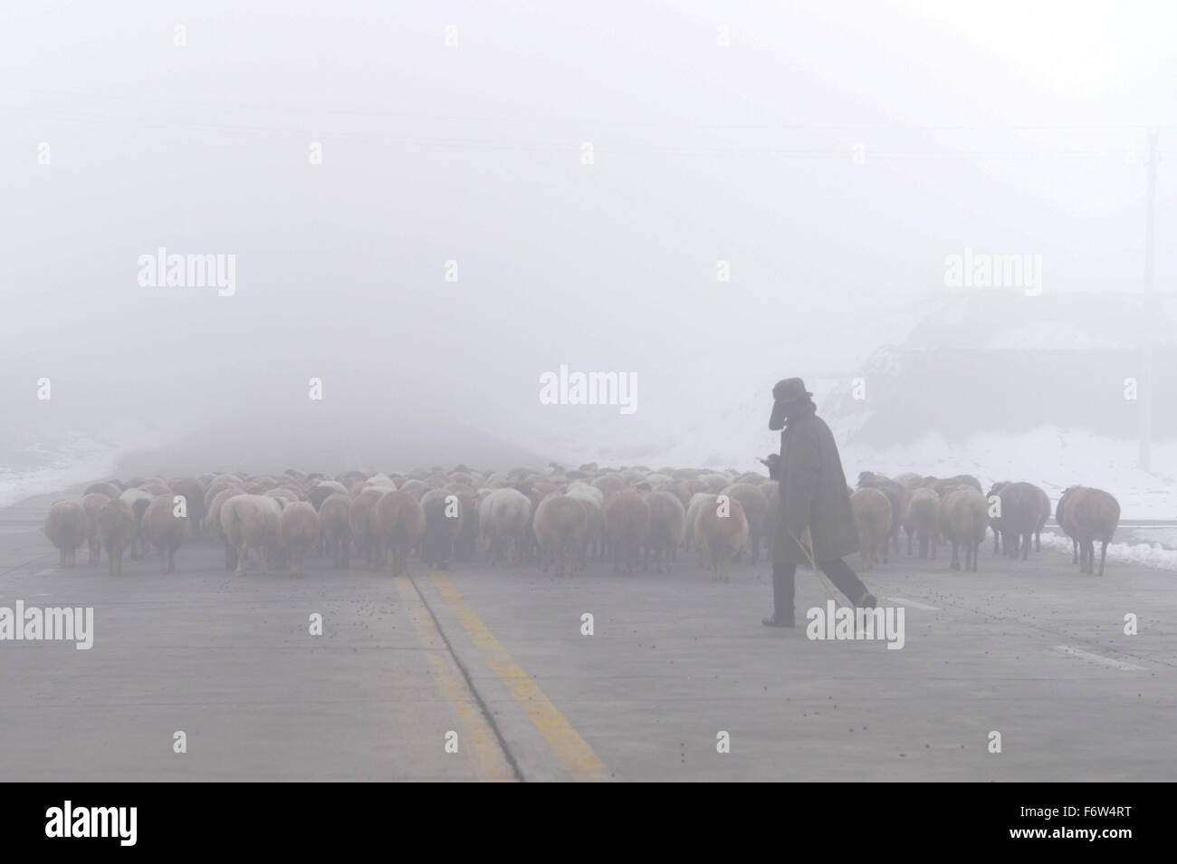 Urumqi, China's Xinjiang Uygur Autonomous Region. 20th Nov, 2015. A ...