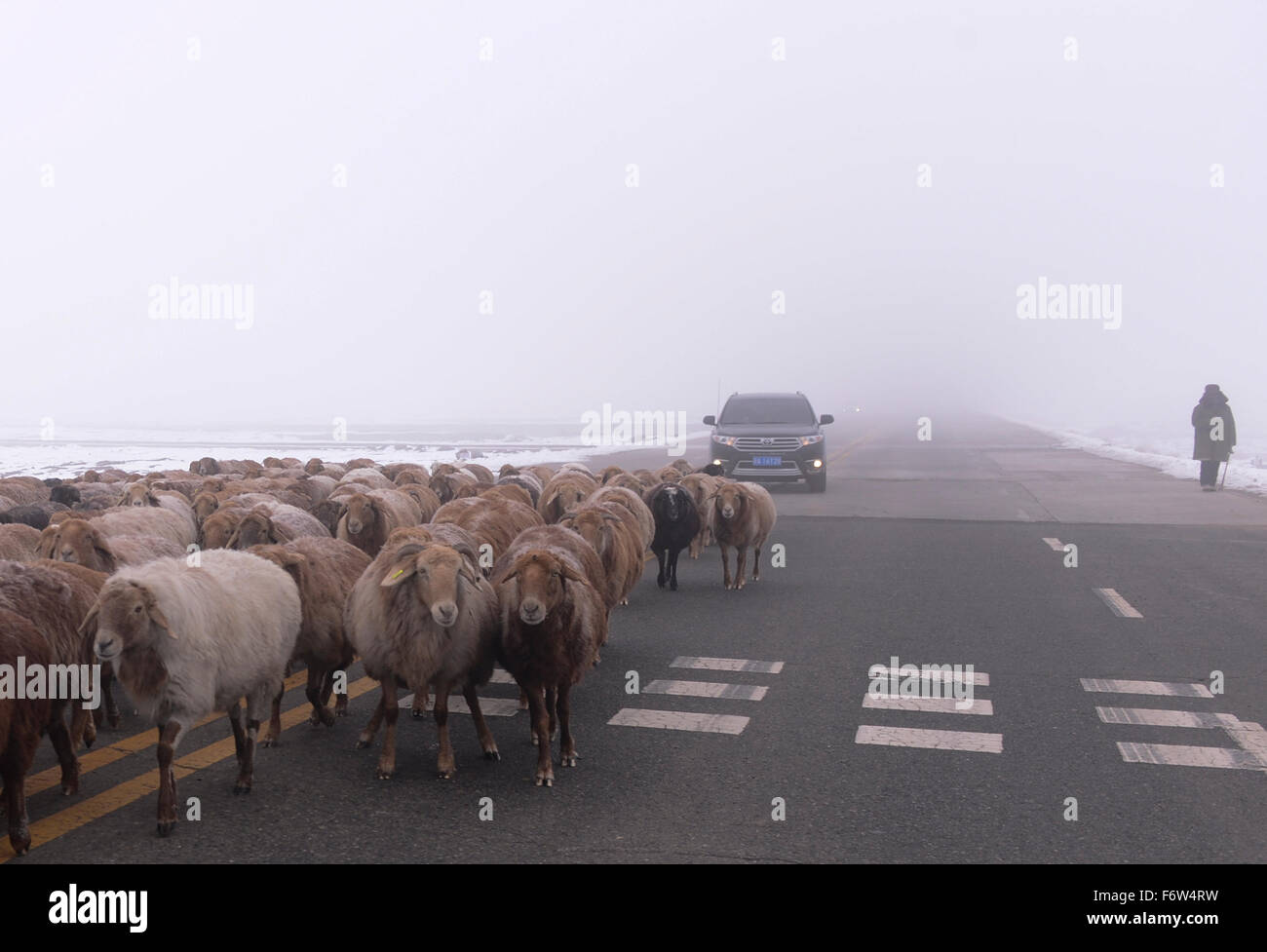 Urumqi, China's Xinjiang Uygur Autonomous Region. 20th Nov, 2015. A ...