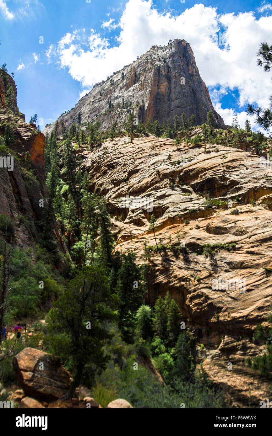 Dangerous Trail in Zion National Park Stock Photo - Alamy