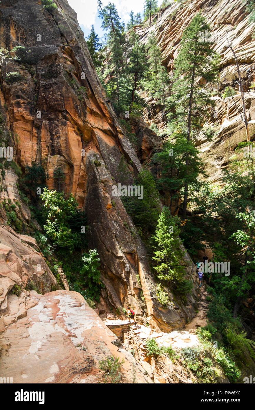 Dangerous Trail in Zion National Park Stock Photo - Alamy
