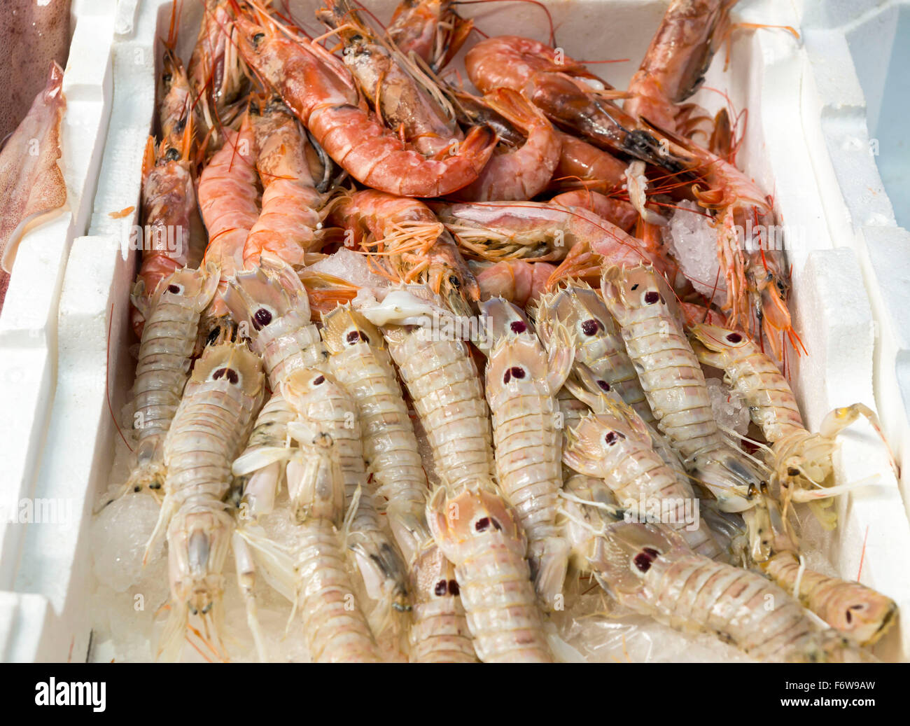 Typical outdoor Italian fish market with fresh fish and seafood Stock ...