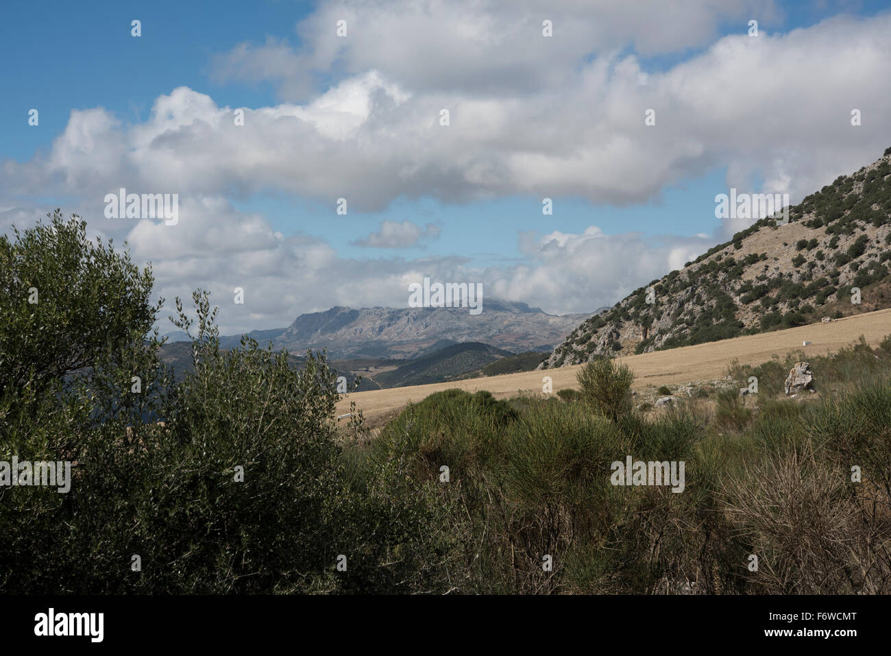 Colmenar hi-res stock photography and images - Alamy