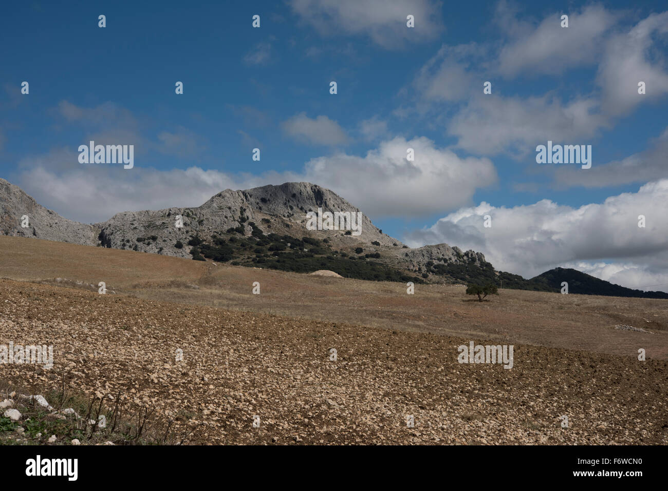 Colmenar hi-res stock photography and images - Alamy