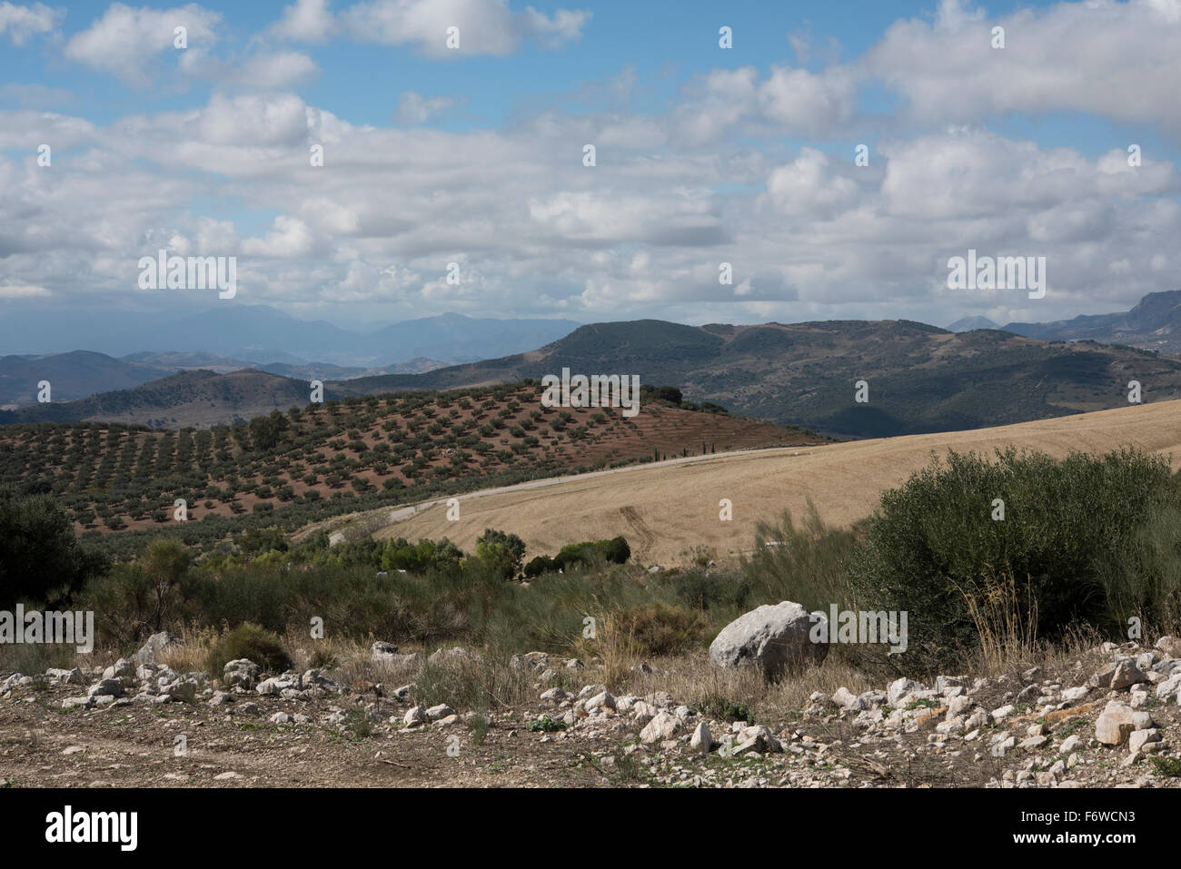 Colmenar hi-res stock photography and images - Alamy