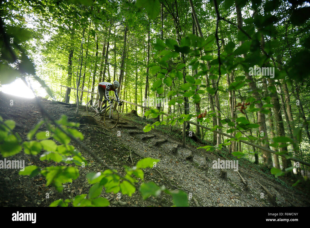 Man cyclocross touring in autumn, Oberambach, Munsing, Bavaria, Germany ...