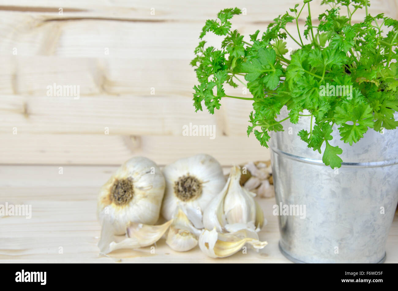 Silver tin pot with fresh parsley and garlic cloves blurred in ...
