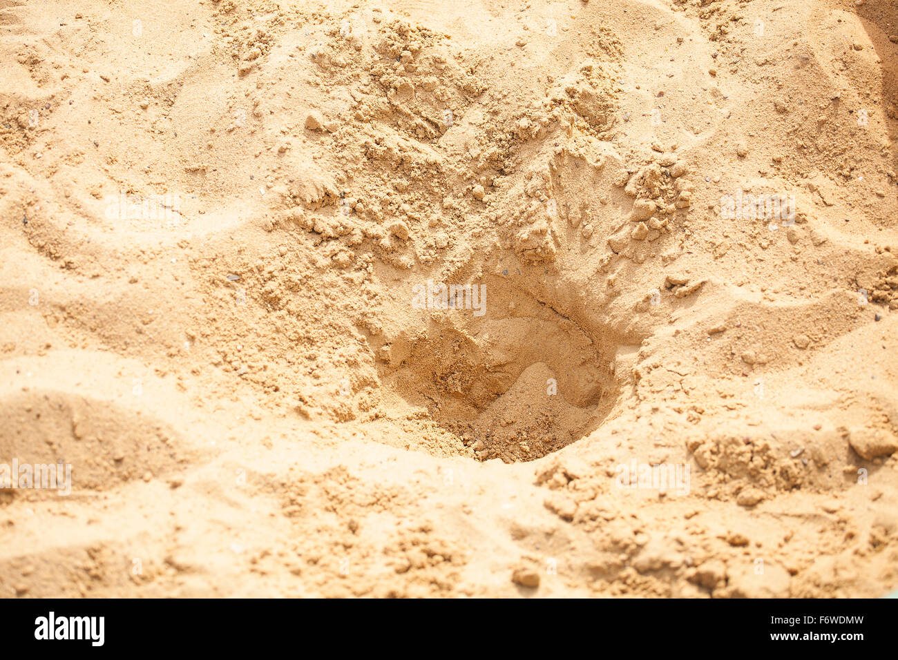 Desert sand for texture and background Stock Photo - Alamy
