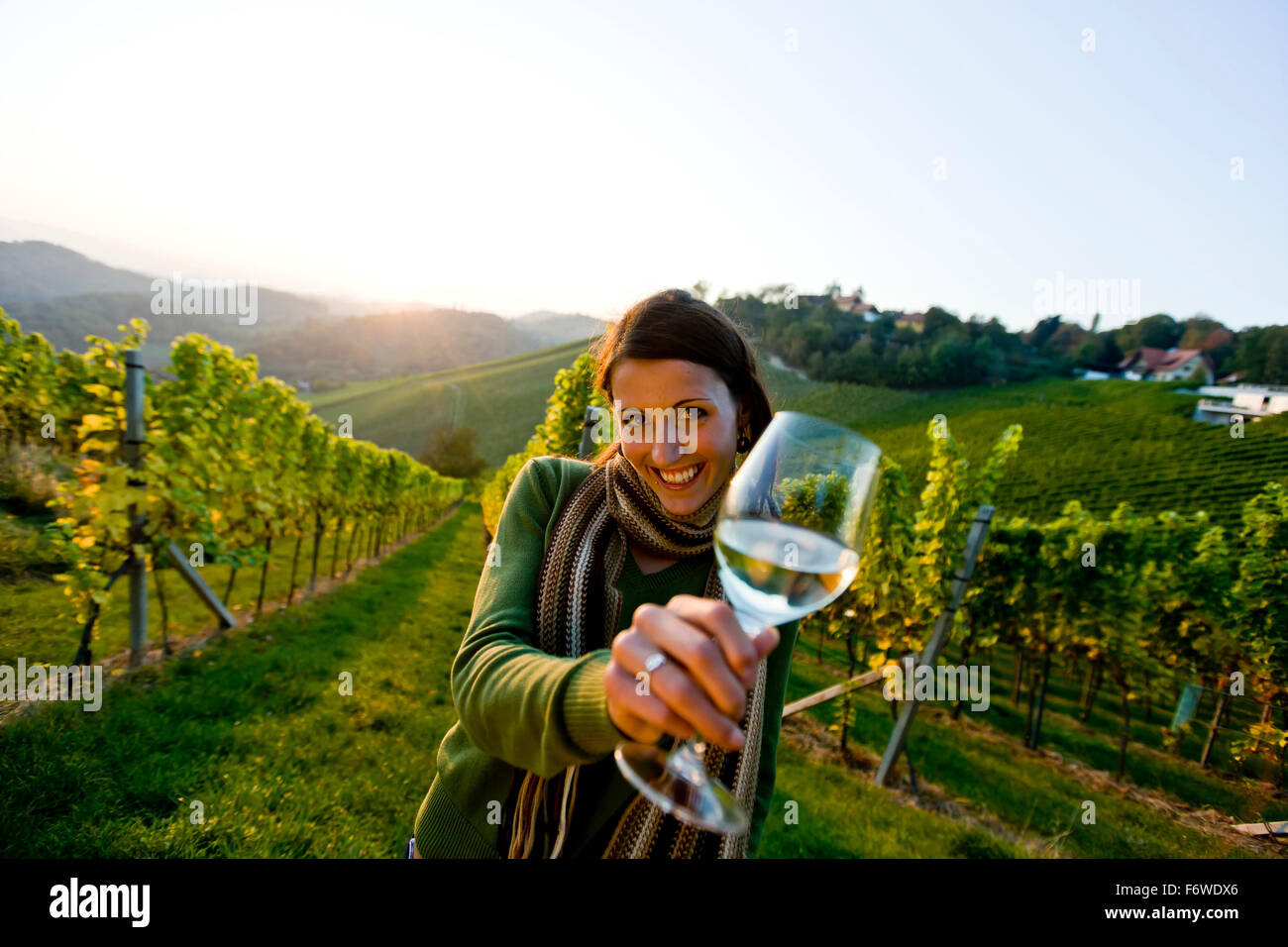 Young woman holding a glass of white wine, Spielfeld, Styria, Austria ...