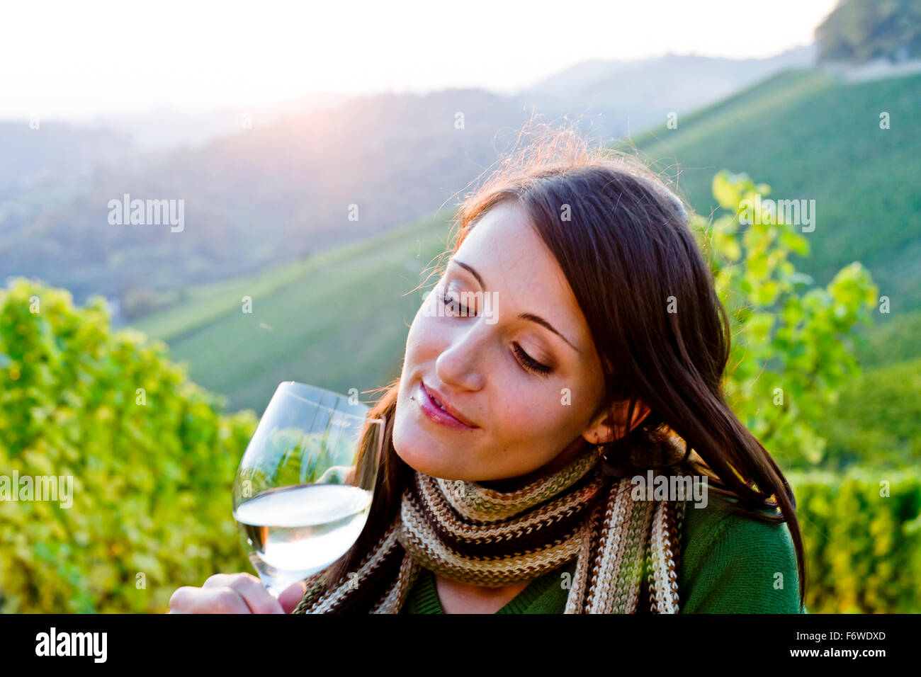 Young woman holding a glass of white wine, Spielfeld, Styria, Austria ...