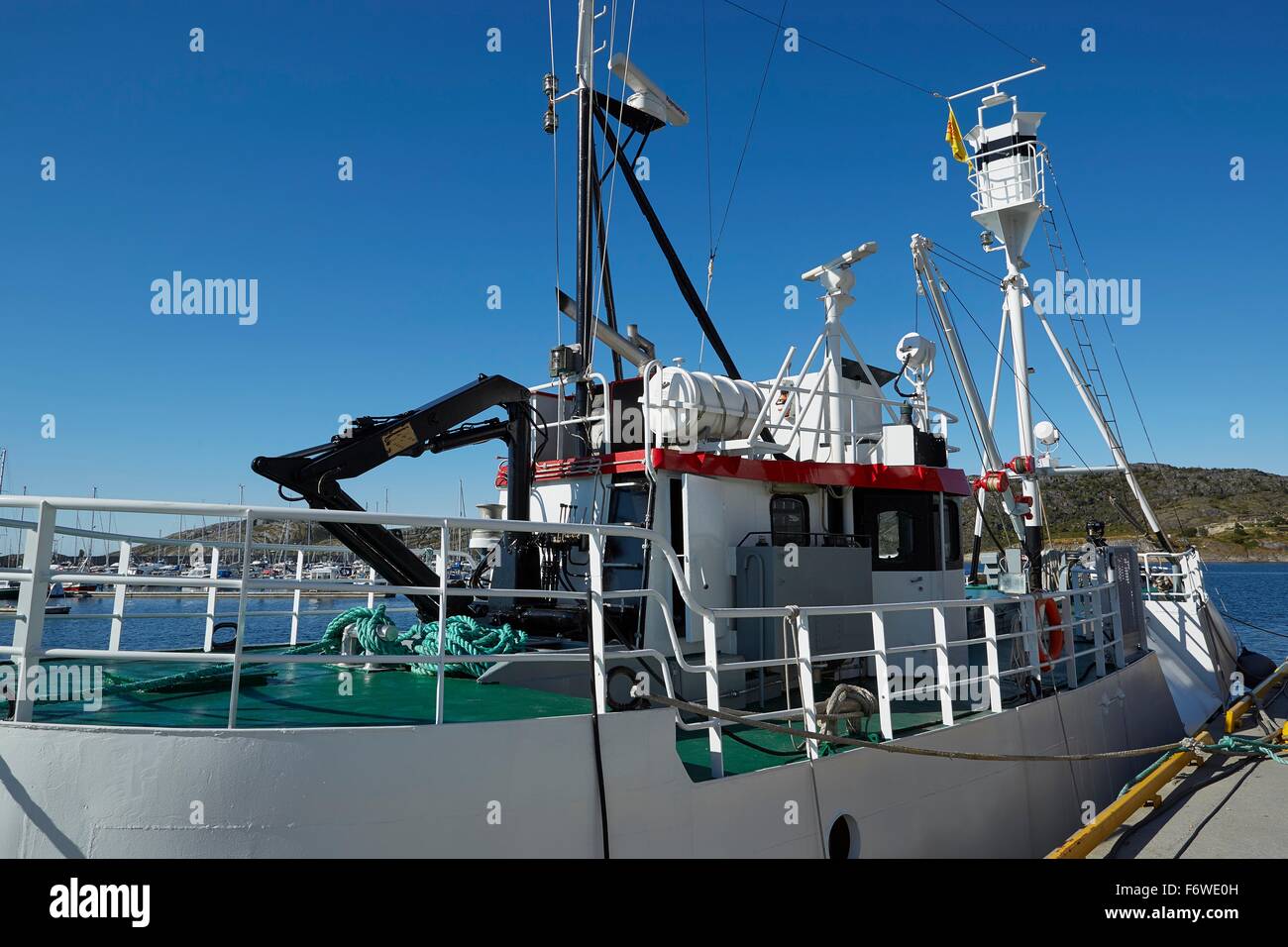 Norwegian Whale Catcher Boat Moored In Bodø, Norway Stock Photo - Alamy