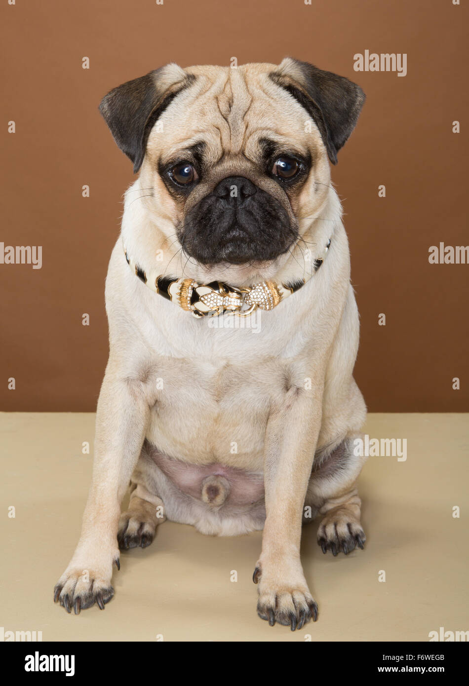 Blackpool studio hi-res stock photography and images - Alamy