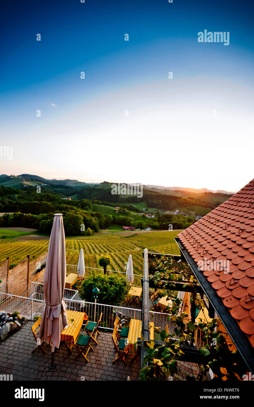 Viticulture terrace hi-res stock photography and images - Alamy