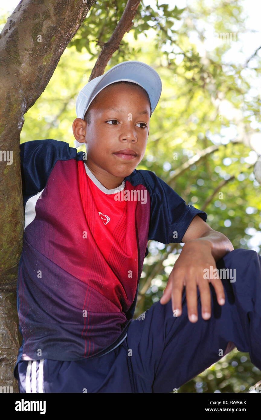 Young teenager climbing a tree Stock Photo - Alamy