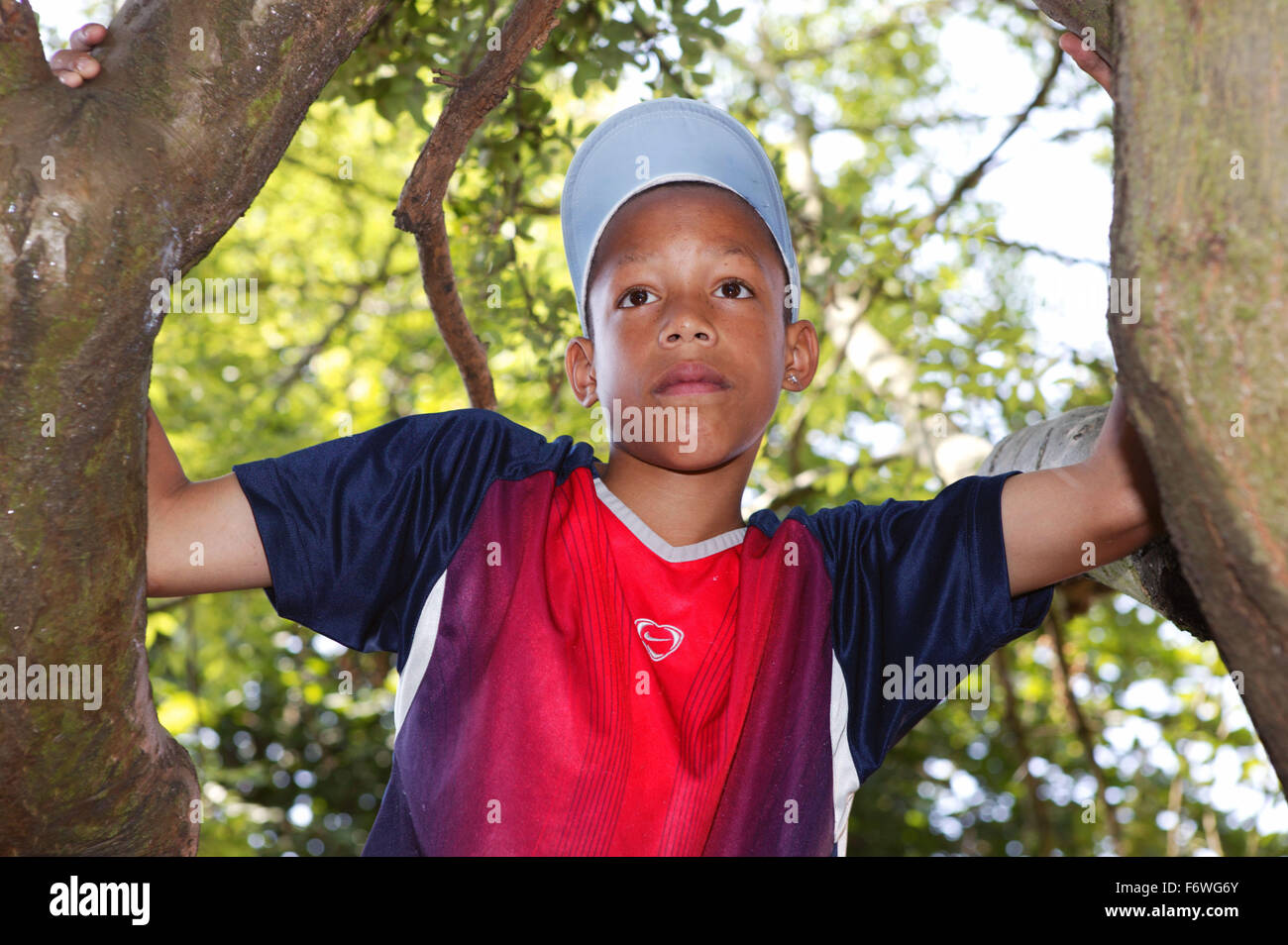Young teenager climbing a tree Stock Photo - Alamy
