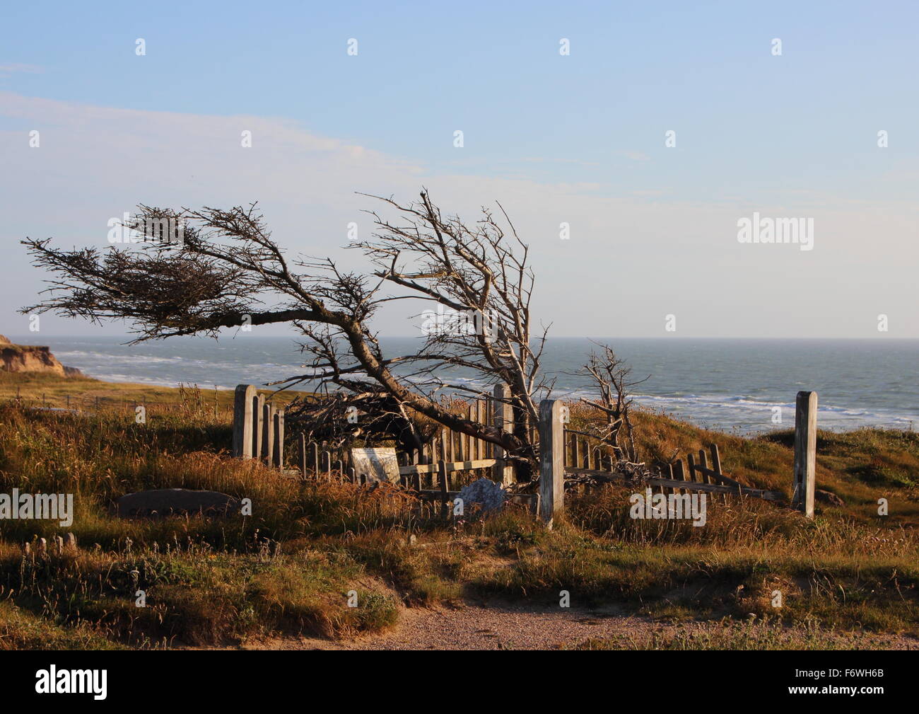 Ocean background hi-res stock photography and images - Alamy