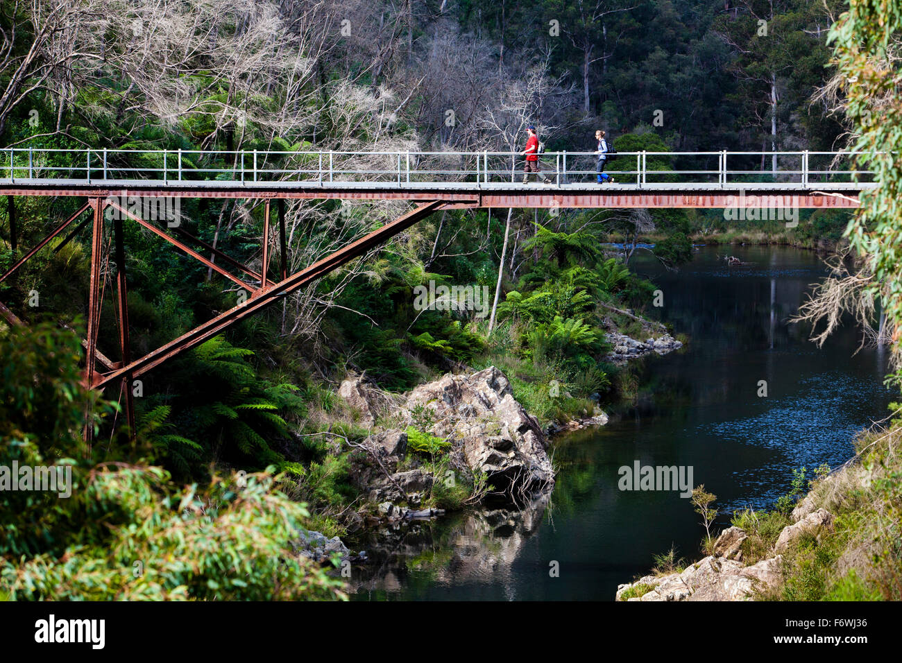Couple passing on an old railway bridge over the Thomson River ...