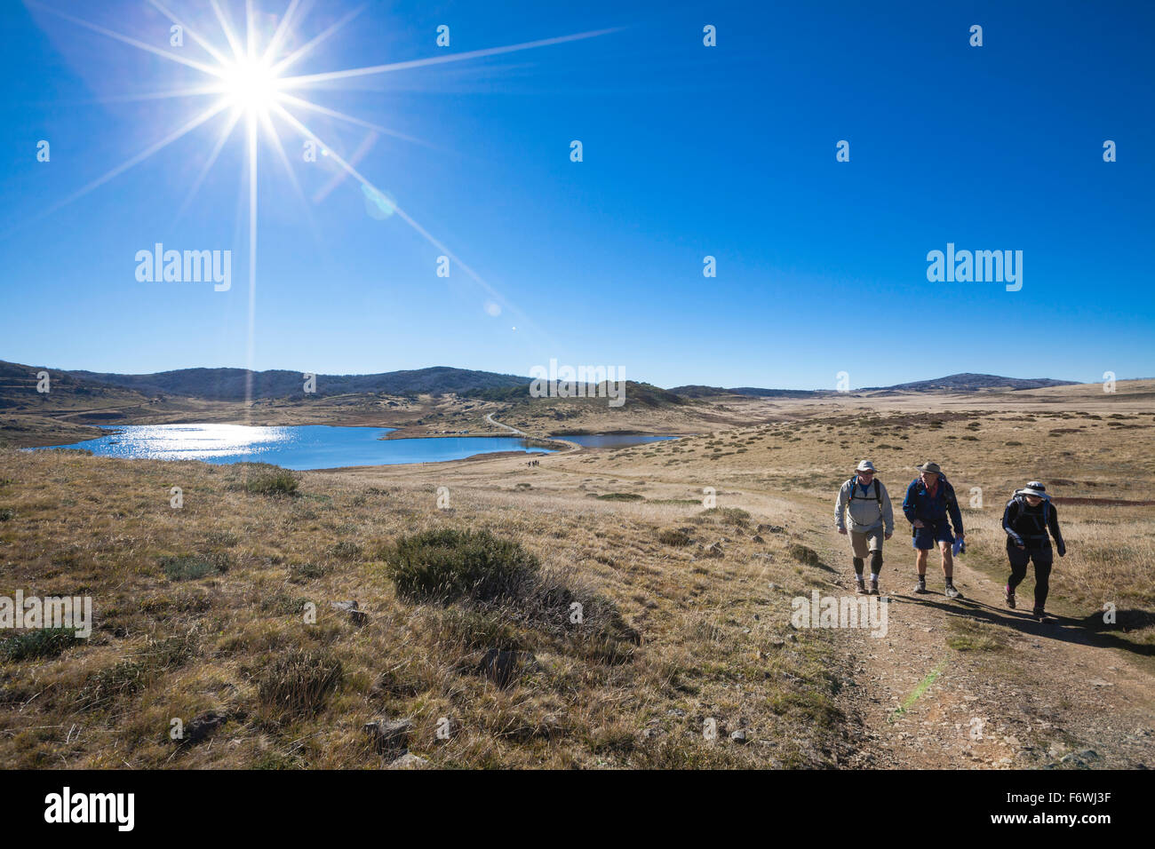 Three hikers near Pretty Valley Pondage, Alpine National Park ...
