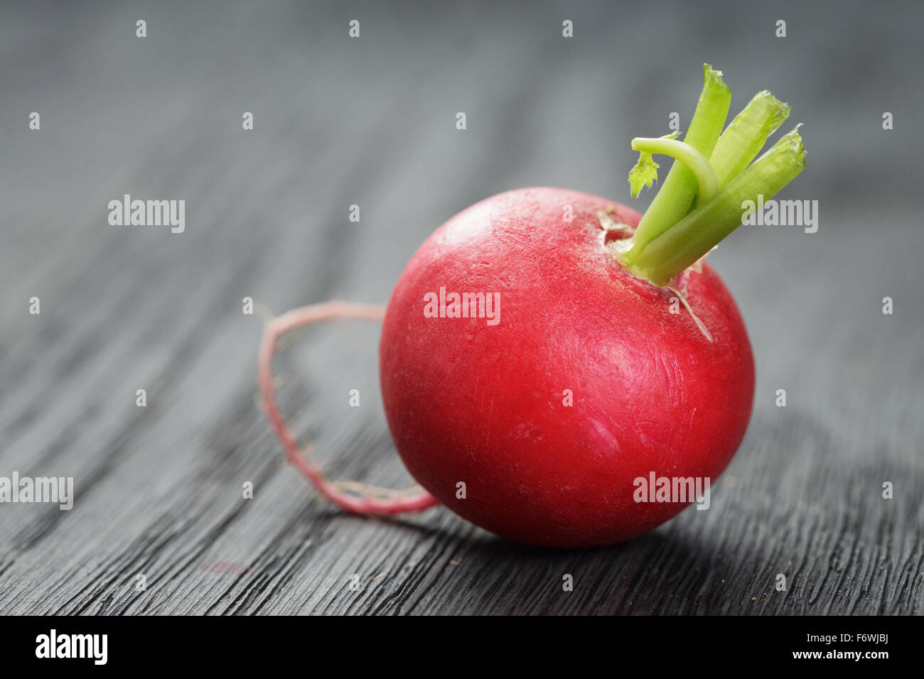 single organic radish on old oak table Stock Photo - Alamy