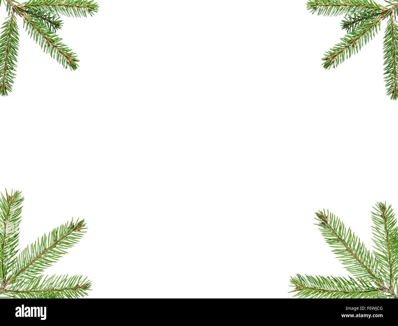 fir branches border on white background Stock Photo - Alamy