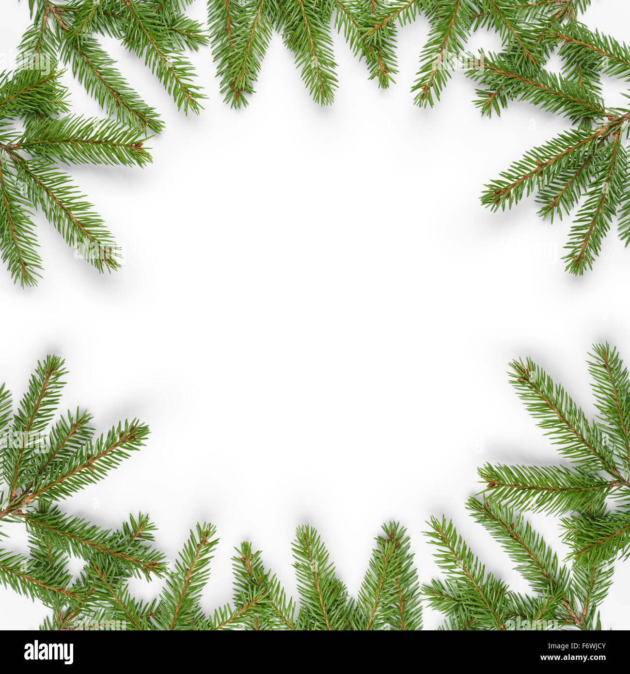 fir branches border on white background Stock Photo - Alamy