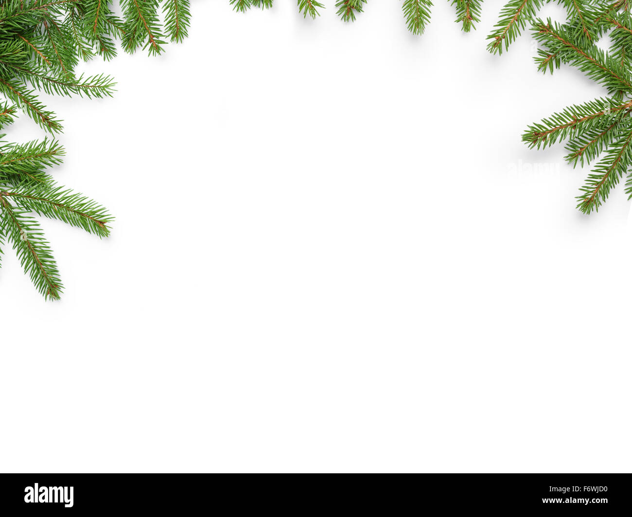 fir branches border on white background Stock Photo - Alamy