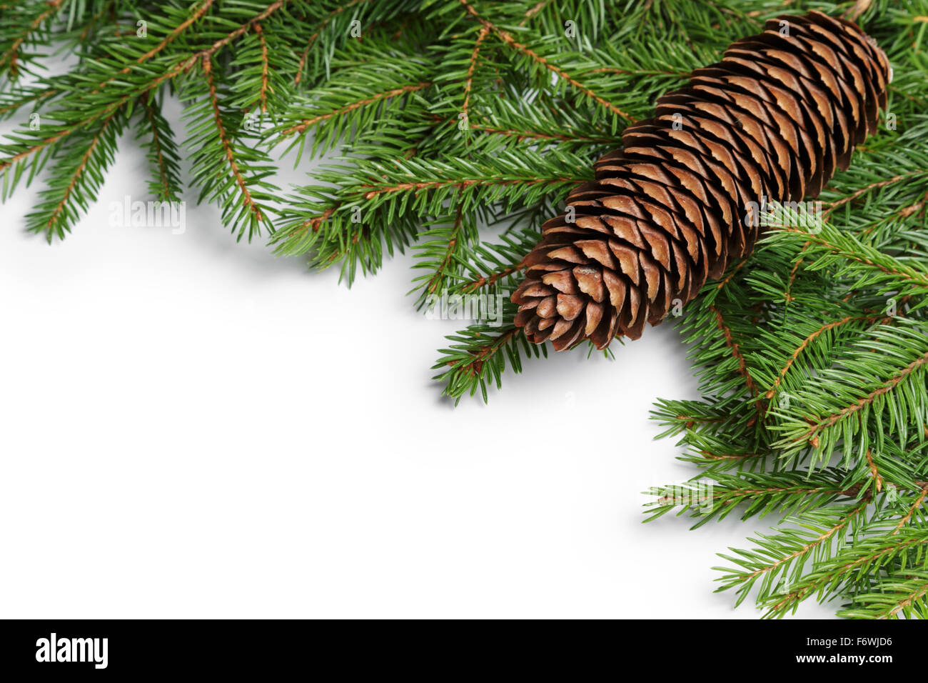 fir branches border on white background Stock Photo - Alamy