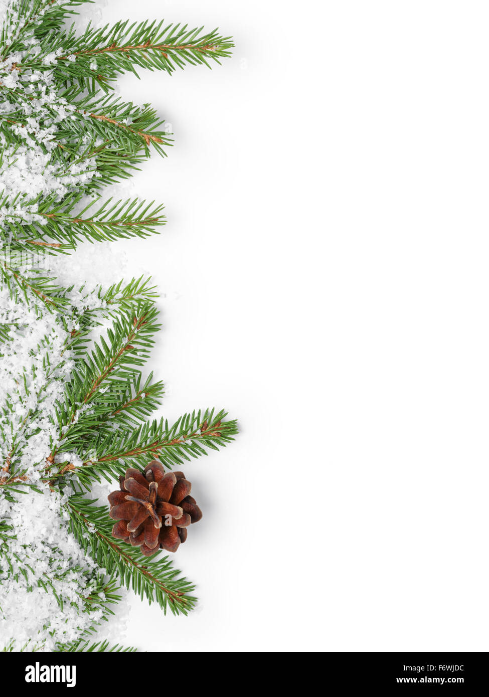 fir branches border on white background Stock Photo - Alamy