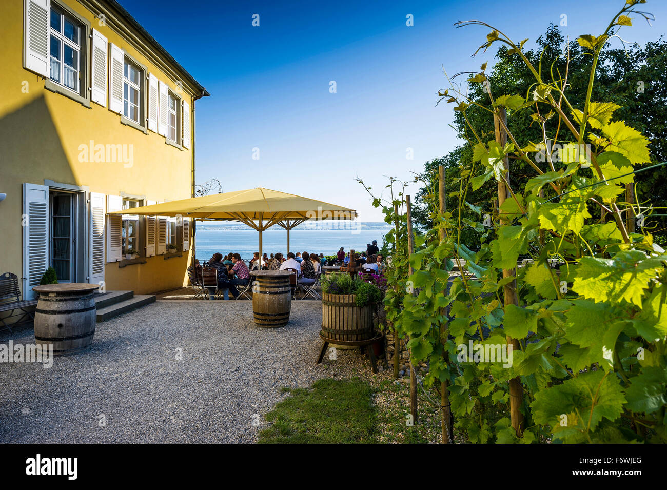 Restaurant with panoramic view of lake Constance, Meersburg, Lake ...