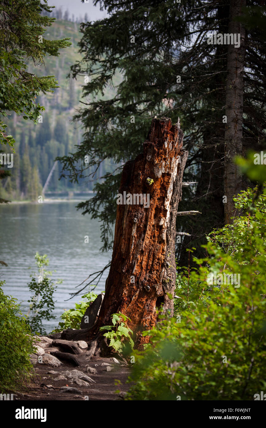 Jenny park hi-res stock photography and images - Alamy