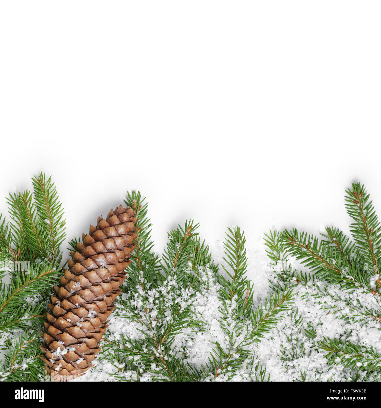 fir branches border on white background Stock Photo - Alamy