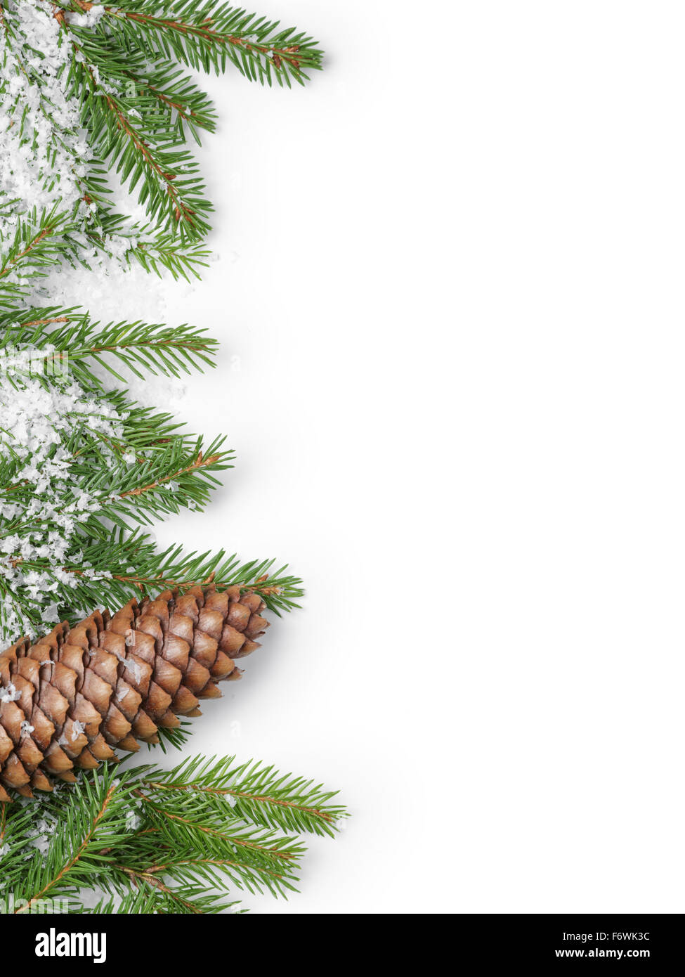 fir branches border on white background Stock Photo - Alamy