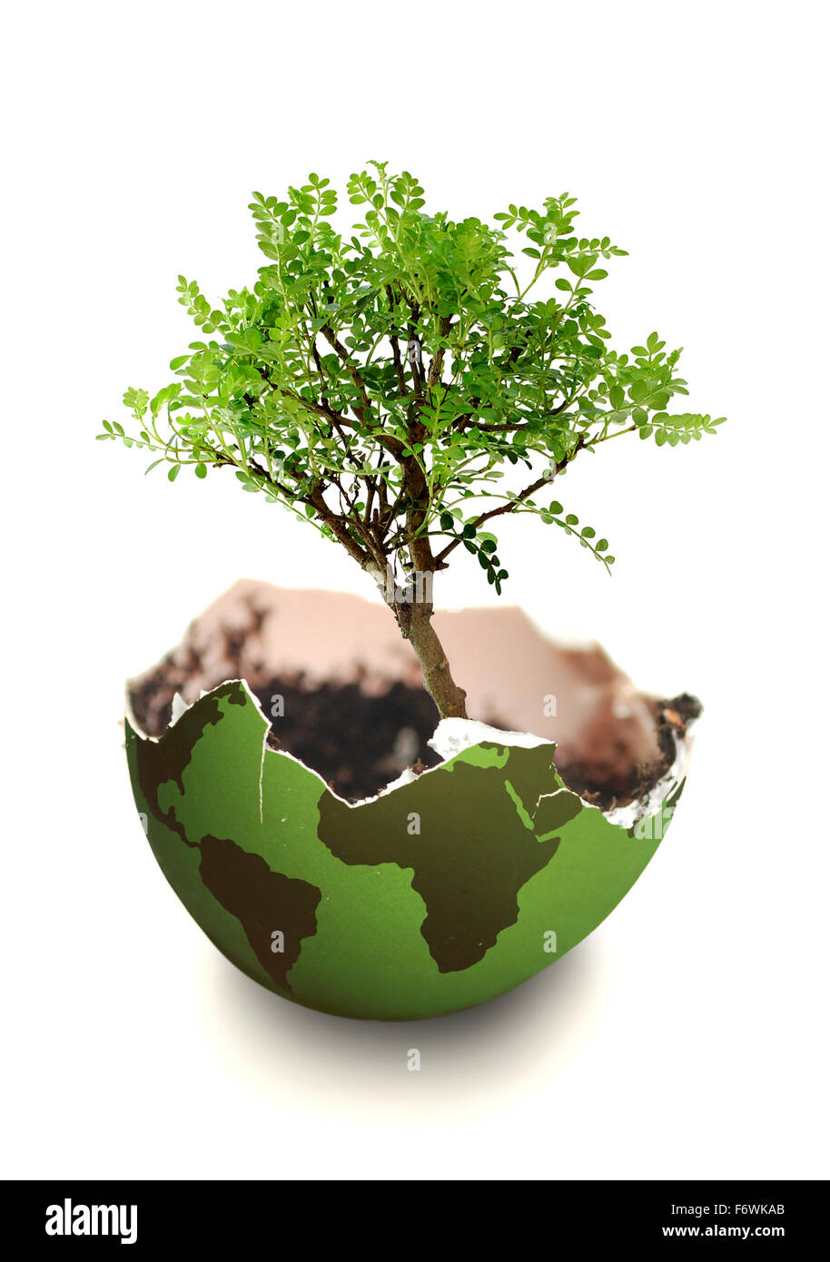 World map tree Cut Out Stock Images & Pictures - Alamy