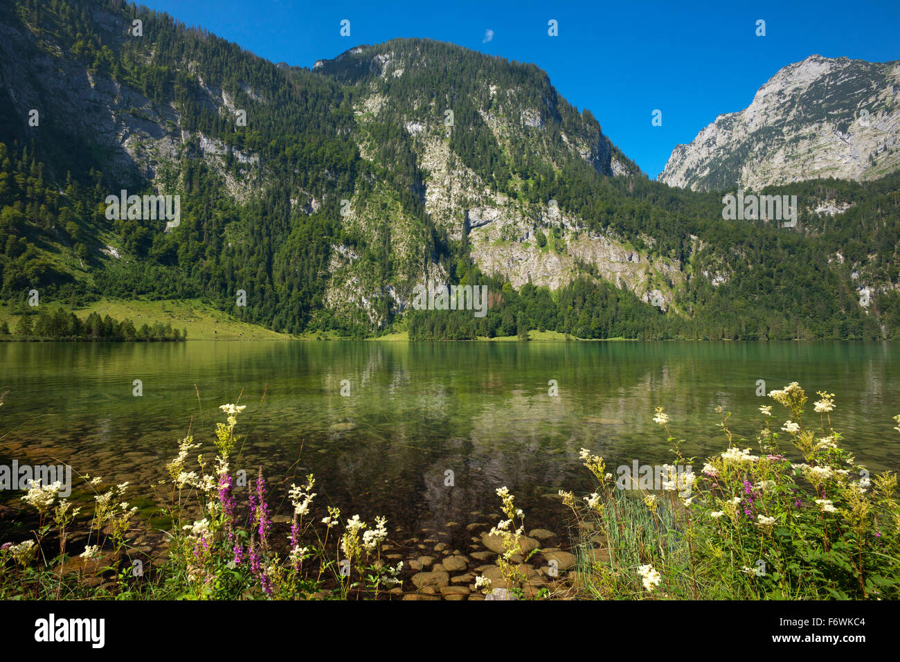Near Salet at the southern part of Koenigssee, Berchtesgaden region ...