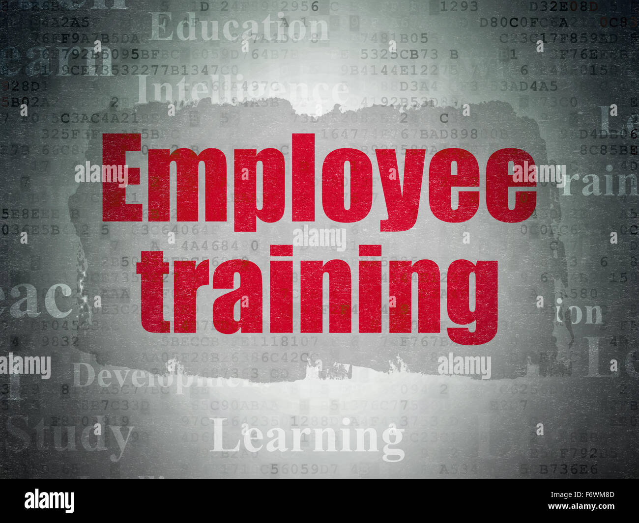 Education concept: Employee Training on Digital Paper background Stock ...