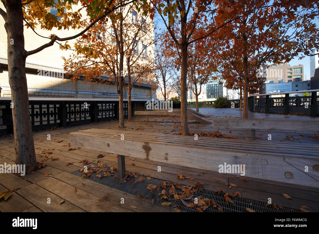Fall colors at The High Line Park in New York City Stock Photo - Alamy