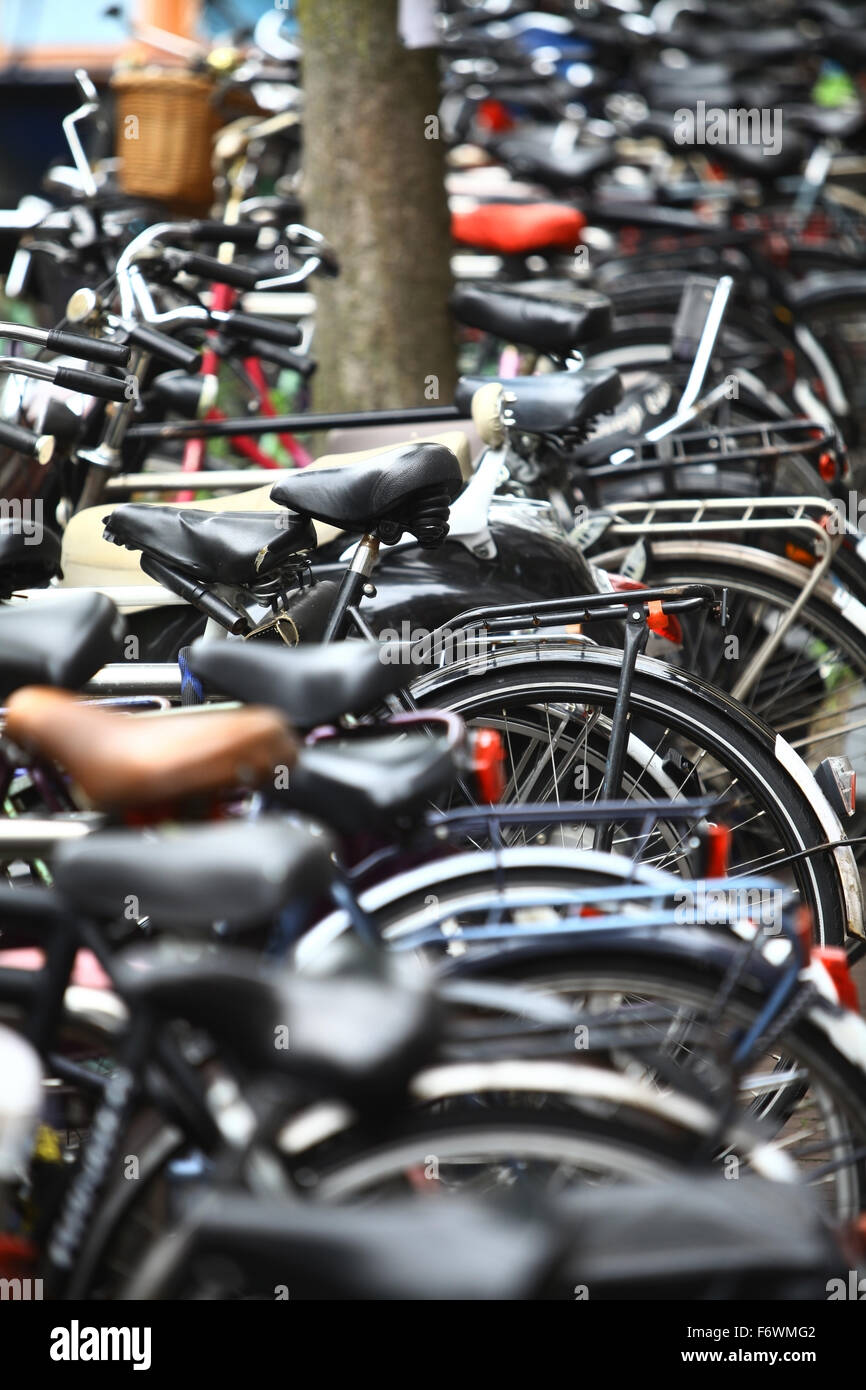 Color image of a large group of parked bicycles Stock Photo - Alamy